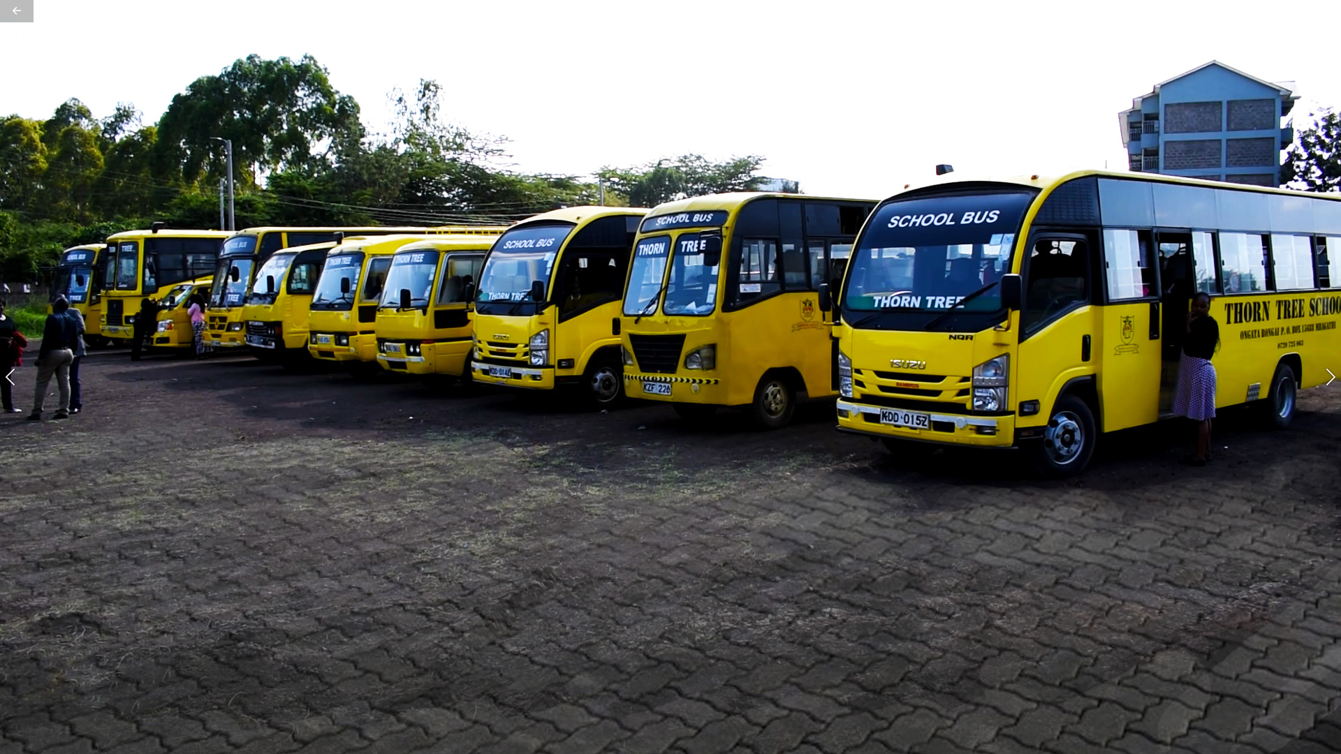 Home - Welcome to Thorn Tree School in Kenya